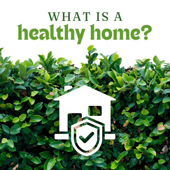 What is a healthy home? The changing landscape of home building in ...